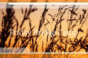 Мнения, статьи о Friday Bridge Camp