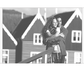 Friday Bridge International Farm Camp